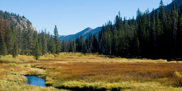 Energy & Environment